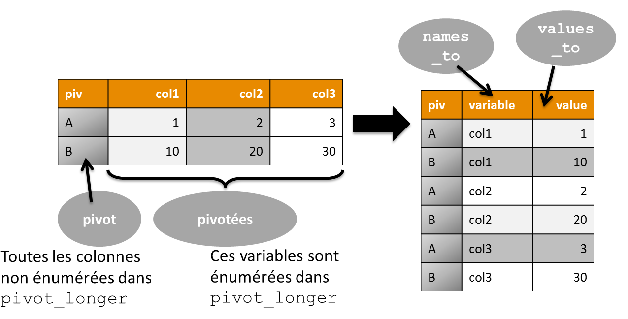 Les transpositions dans R expliquées à ma fille - OD-Datamining