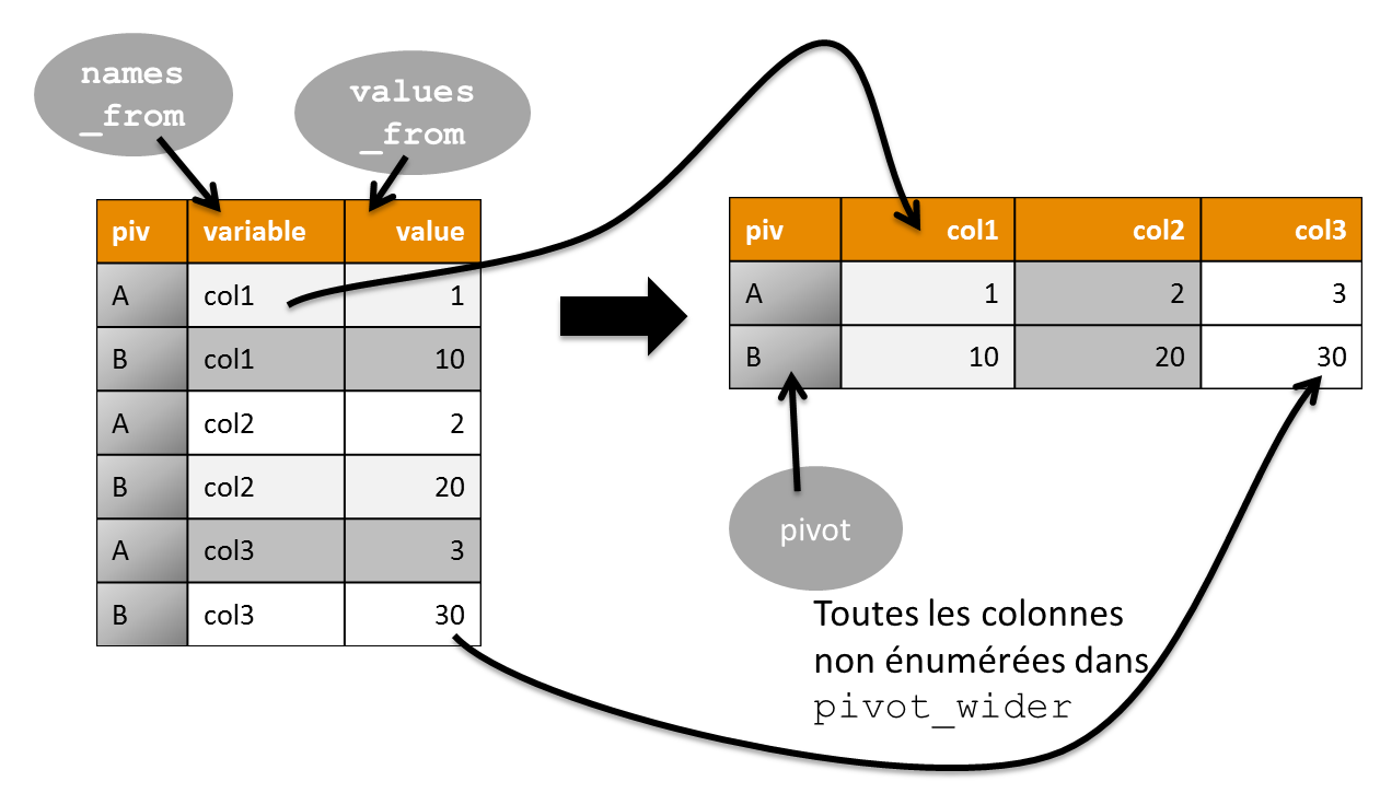 Les transpositions dans R expliquées à ma fille - OD-Datamining